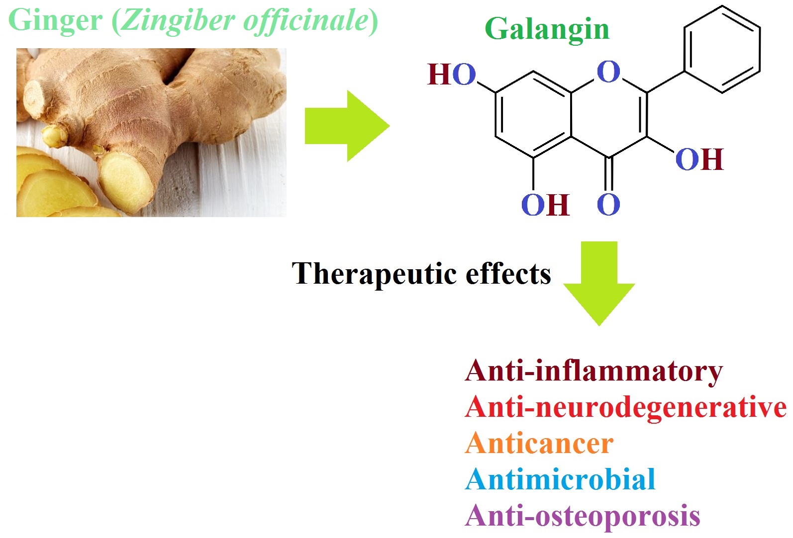 Formulations of galangin and its derivatives with antimicrobial ...